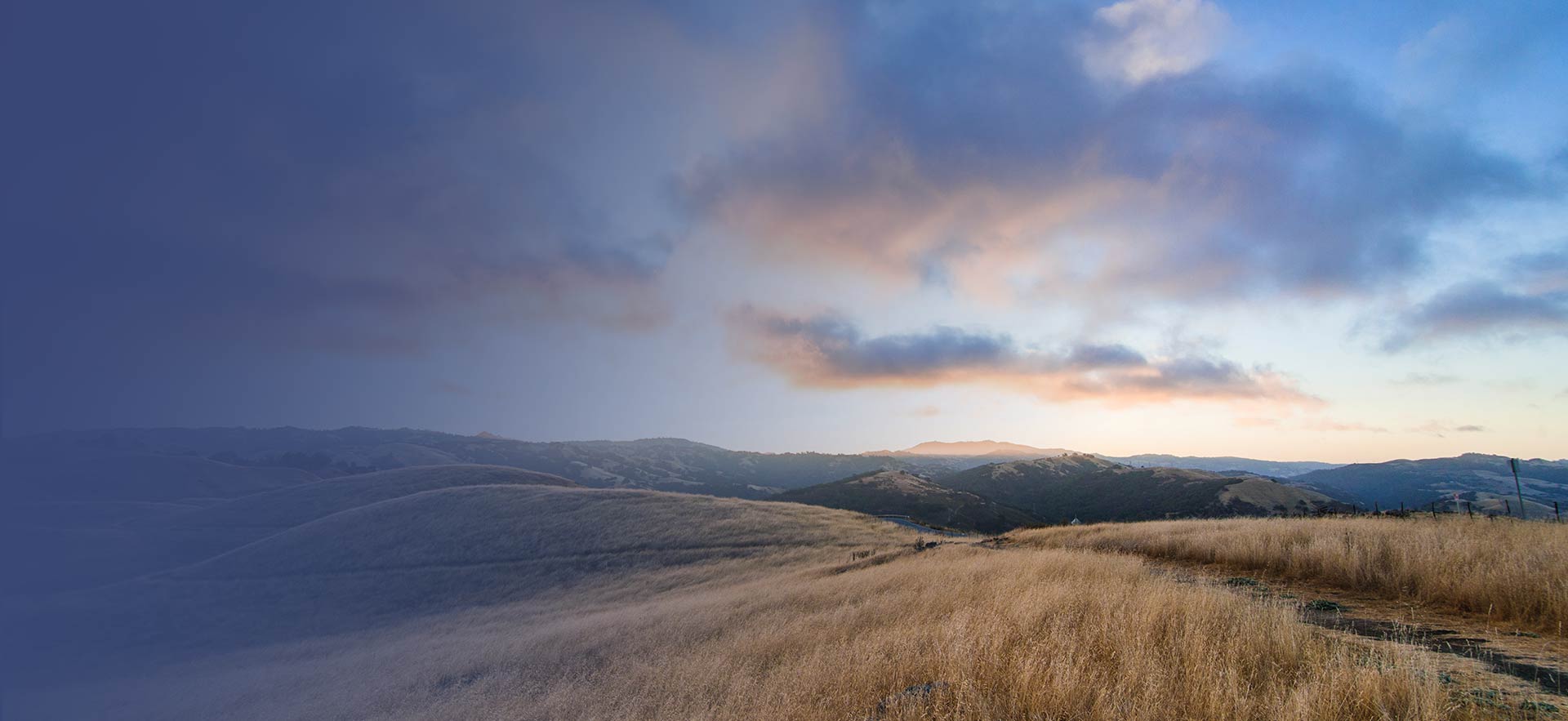 Individual Therapy - Therapy-Connection